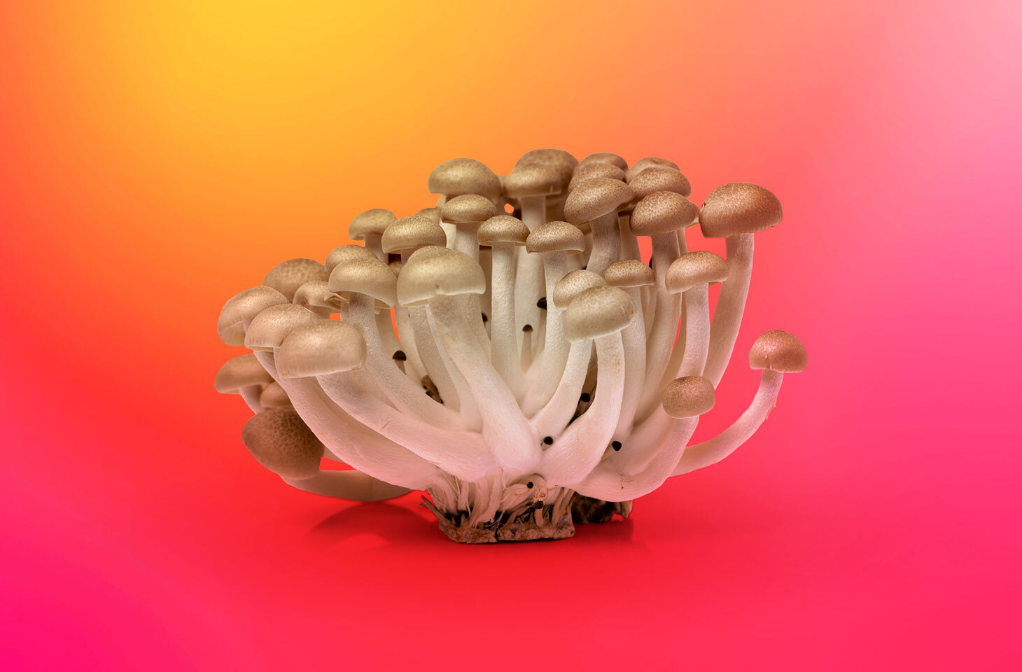 從速更新！Chrome上的三個危險漏洞 - Lapcom Blog - 網絡安全相關新聞