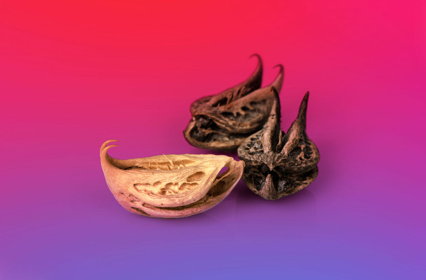 流動威脅：2021年最活躍的三種攻擊 - Lapcom Blog - 網絡安全相關新聞