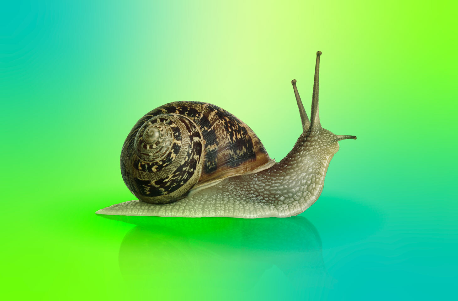 Google Play新措施：數據安全而不是應用權限 - Lapcom Blog - 網絡安全相關新聞