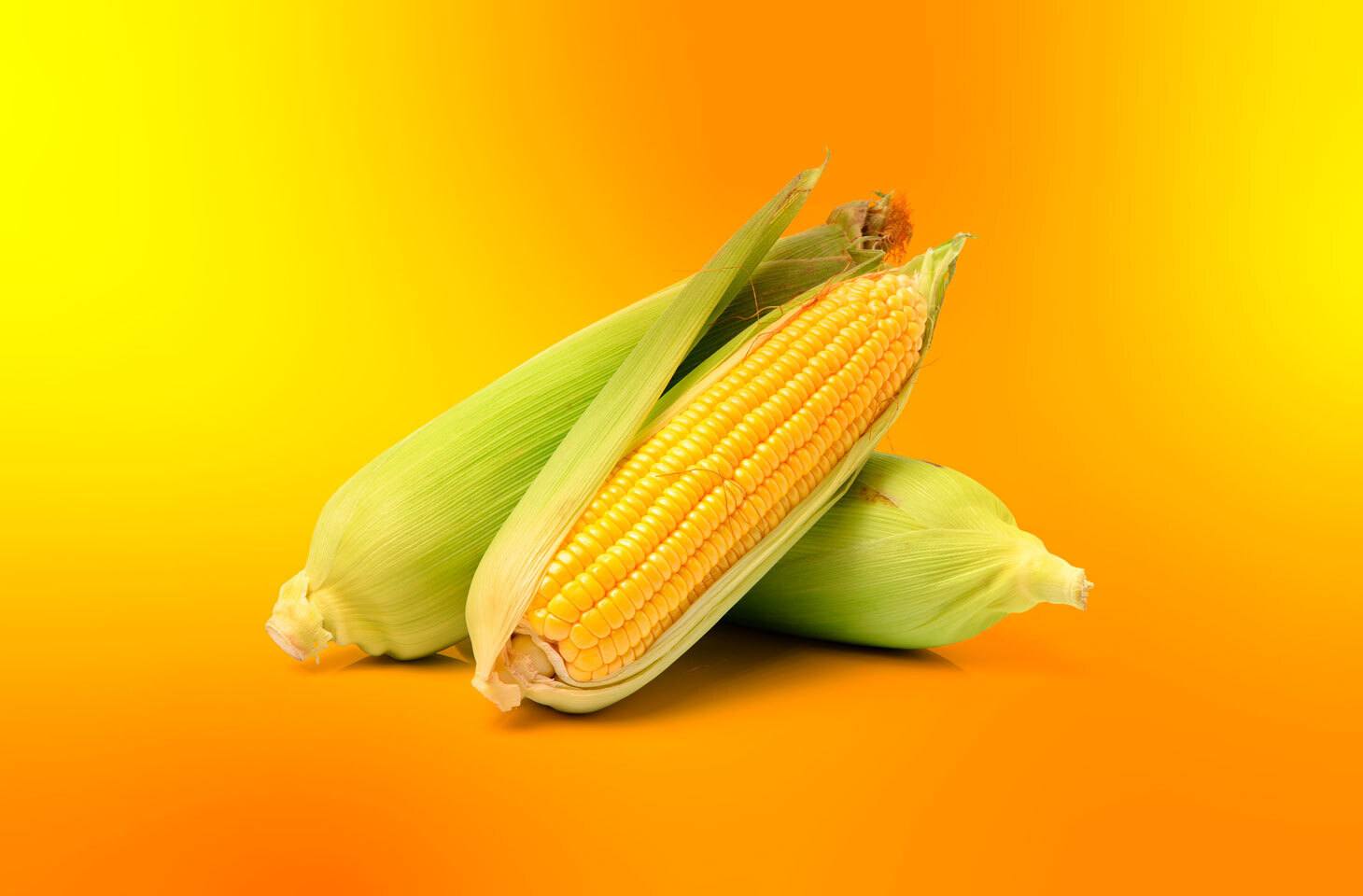 相似域名的網絡釣魚與辨別技巧 - Lapcom Blog - 網絡安全相關新聞