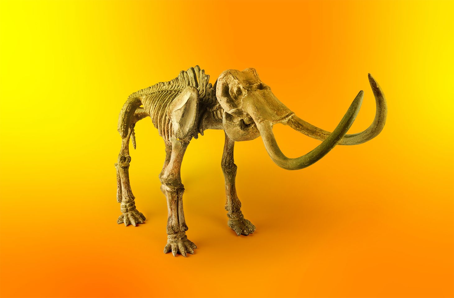 Mamont：貨件追蹤的惡意程式 - Lapcom Blog - 網絡安全相關新聞